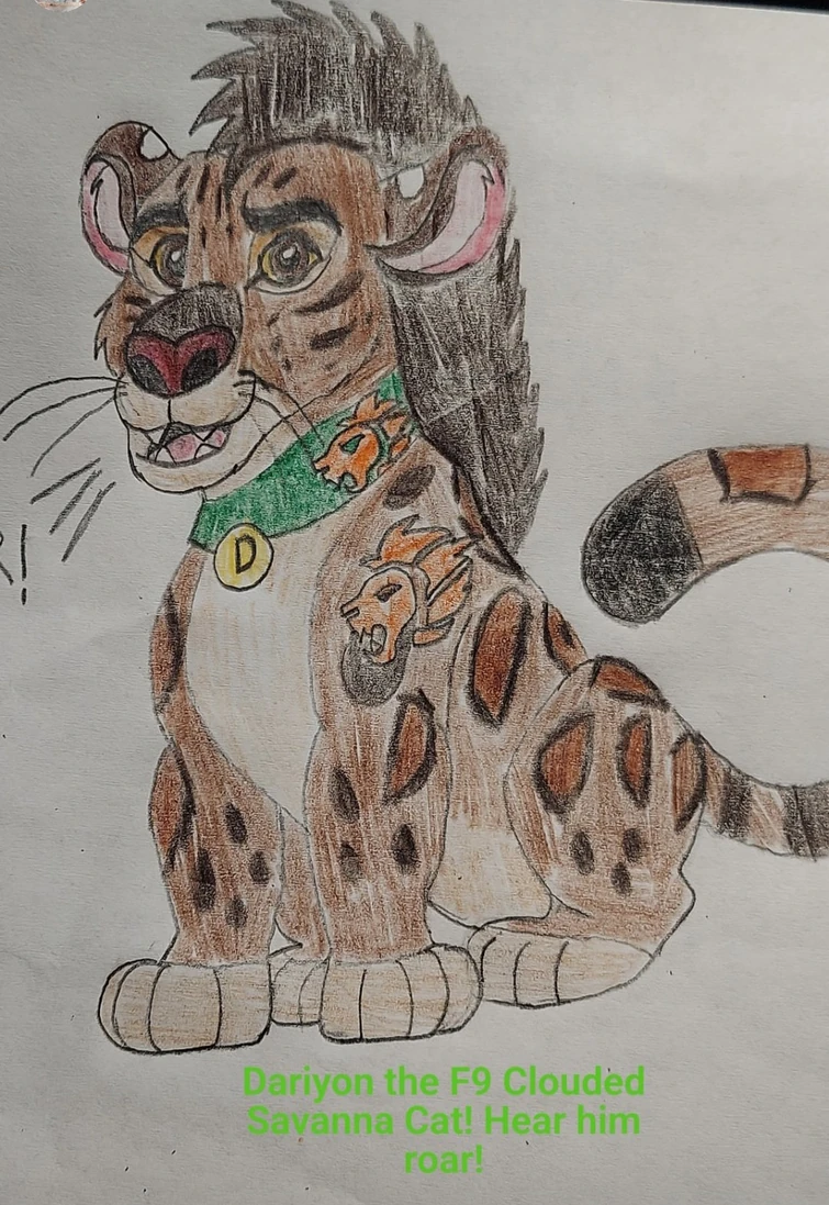 Discuss Everything About Madagascar Wiki | Fandom