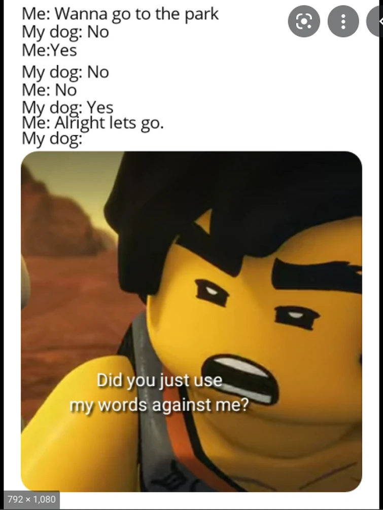 NiNjAgO MeMeS: Reborn | Fandom