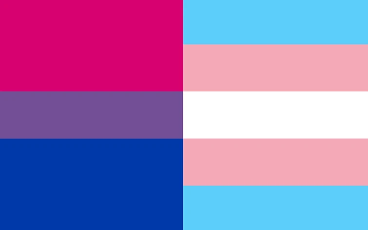 can sum 1 with supa good art skills edit a trans and bi flag behind my ...