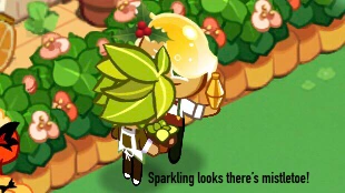 Herb spent days, months preparing, nurturing and favoring his plant for ...