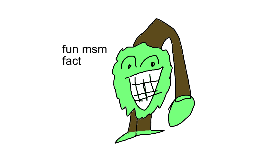 fun msm facts | Fandom