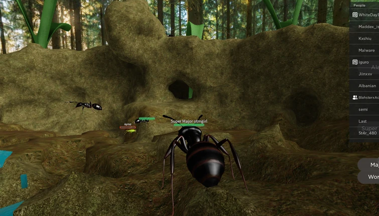 Discuss Everything About Ant Life Wiki | Fandom