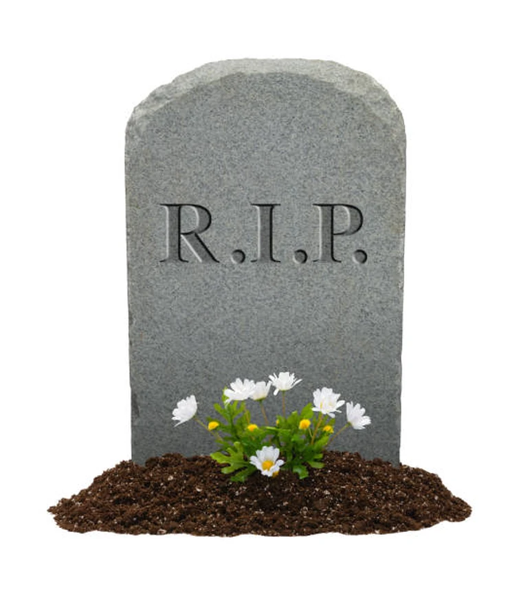 Rip wiki | Fandom