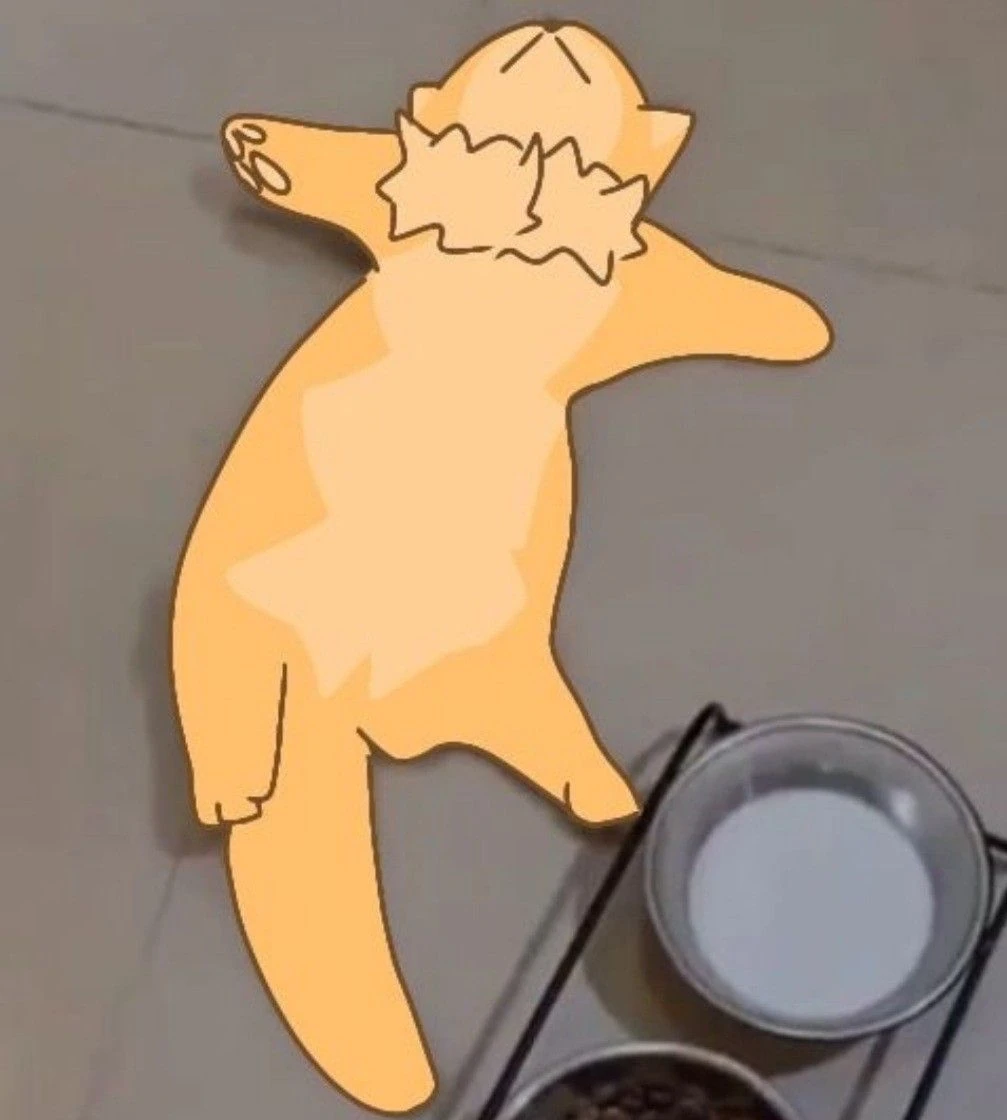 Here is my cat jk | Fandom