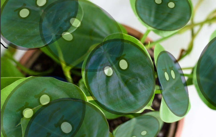 I NEED BLEACH FOR MY EYE | Fandom