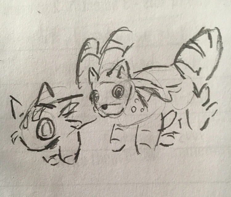 smore and cat plushie | Fandom