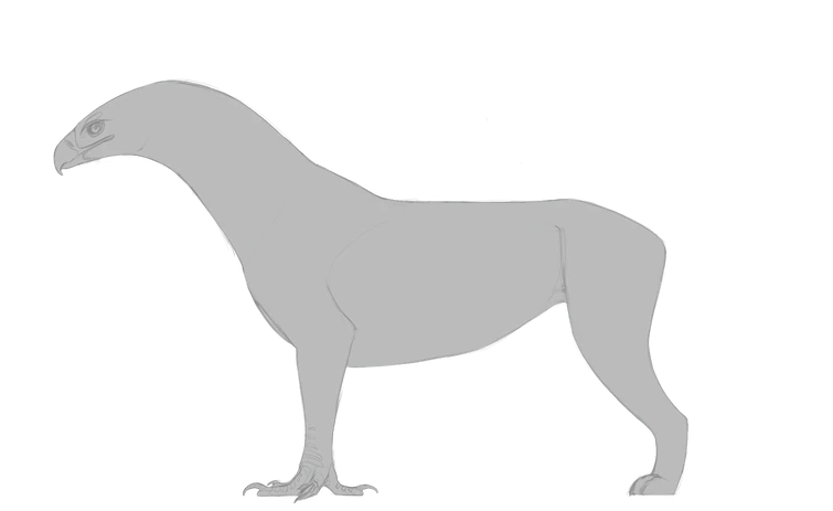 Is there like, a griffin base that you can draw concepts on? | Fandom