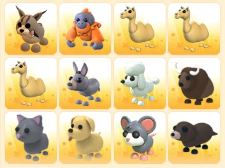 LF leopard cats | Fandom