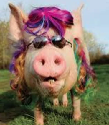 Discuss Everything About Piggy Wiki | Fandom