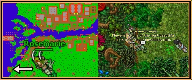 Nueva comunidad de Tibia | Fandom