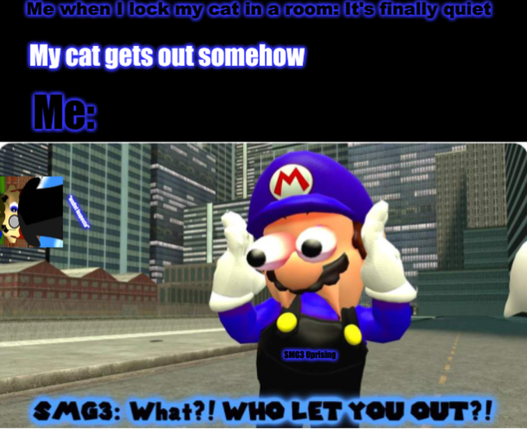 SMG4 memes I found online | Fandom