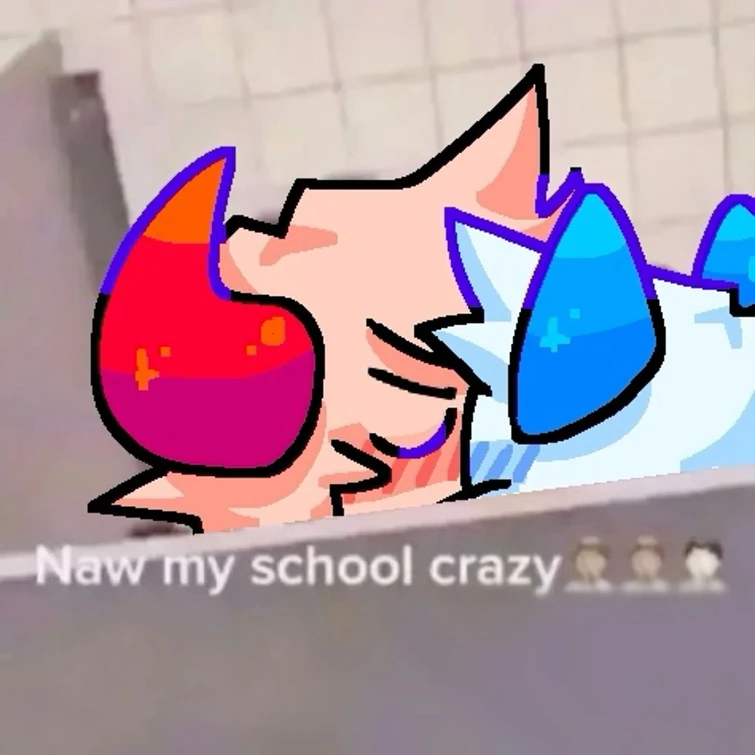 Gay Swocket Yaoi | Fandom