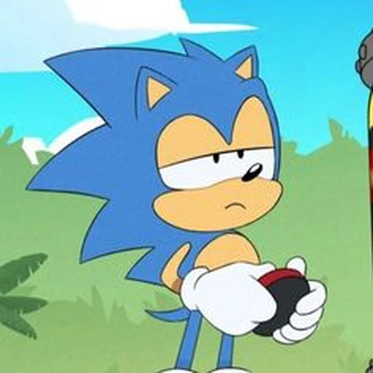Sonic Reaction Images? | Fandom