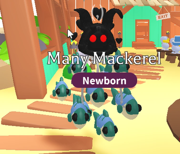 So this is what it looks like to ride the many mackerel... Very ...