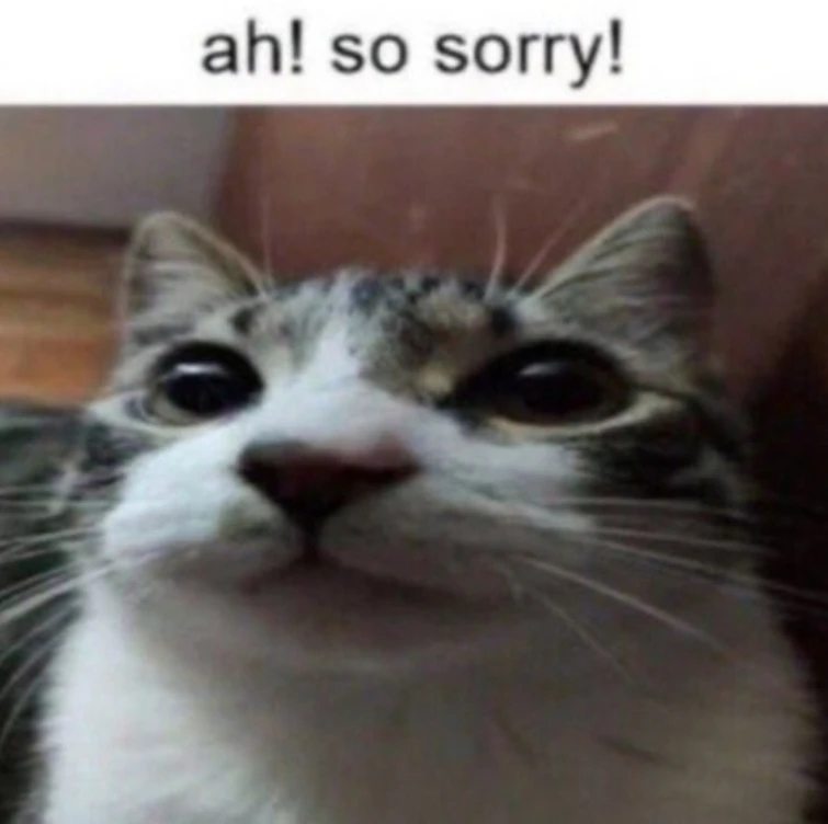 ah! so sorry! (cat) | Fandom