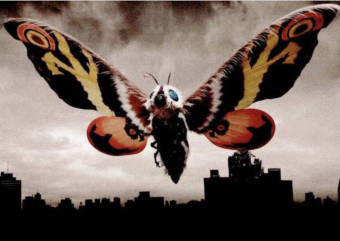 Who is your favorite Godzilla opponents | Fandom