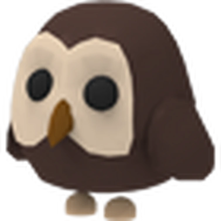 Owls logic in adopt me | Fandom