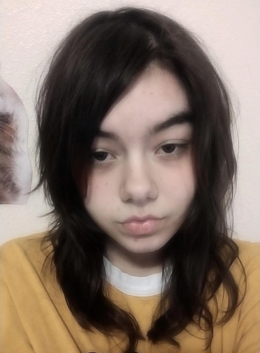 Guys I'm silly | Fandom