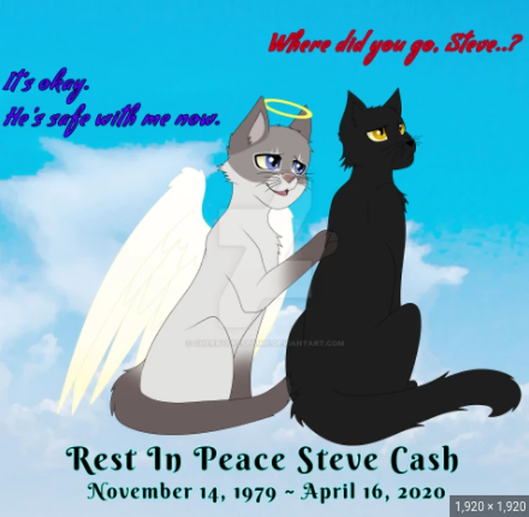 Discuss Everything About Talking Kitty Cat Wikia | Fandom