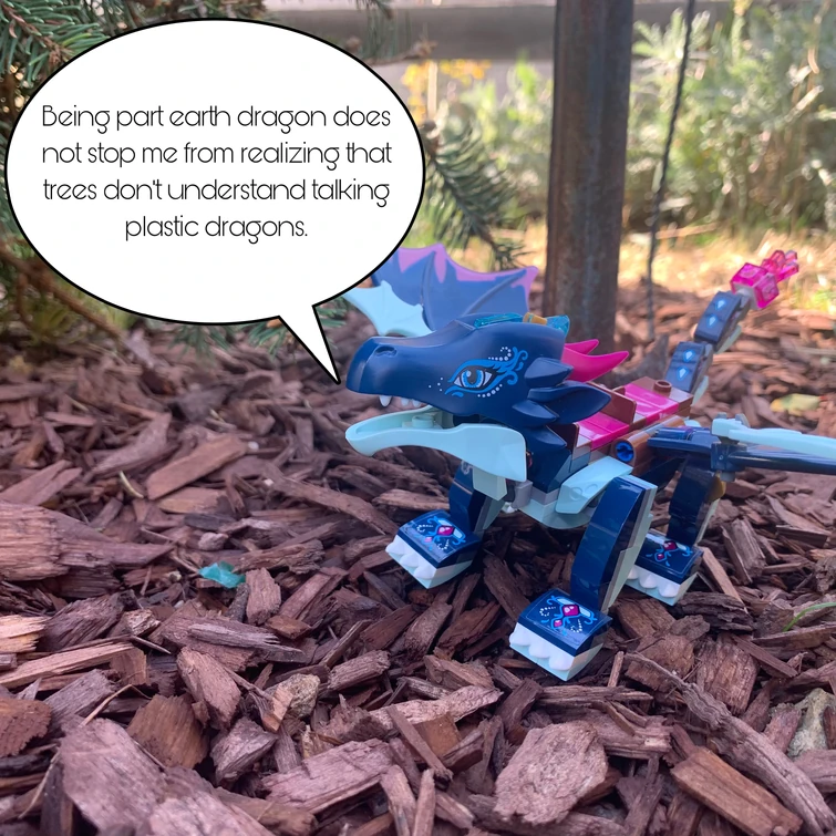 Discuss Everything About LEGO Elves Wiki | Fandom