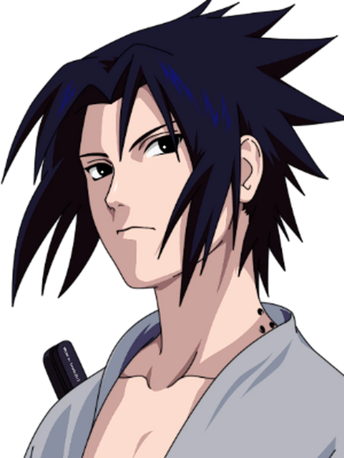 What Level is Sasuke | Fandom