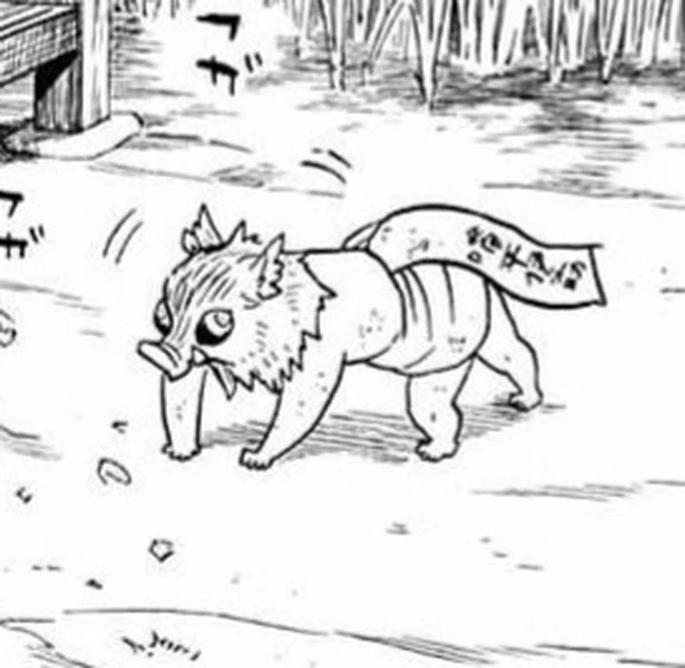 What's Inosuke's favorite color? | Fandom