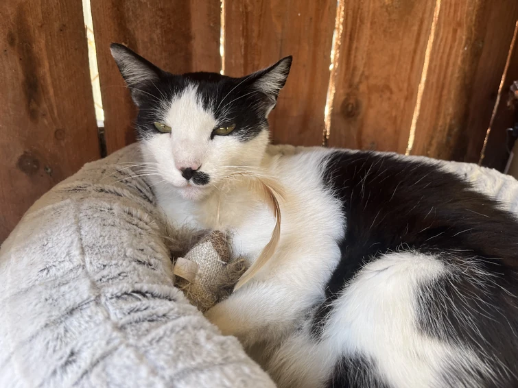 charlie image dump | Fandom