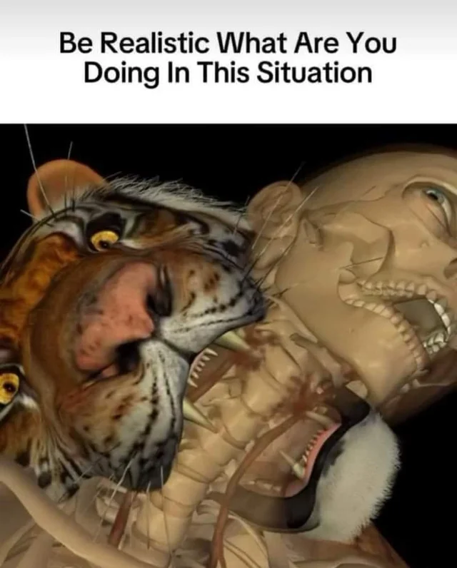 Days without drama day 274 | Fandom