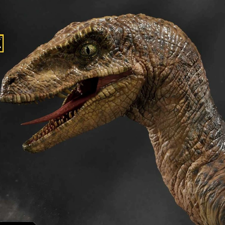 HOLY Sheesh (mod edit)! | Fandom