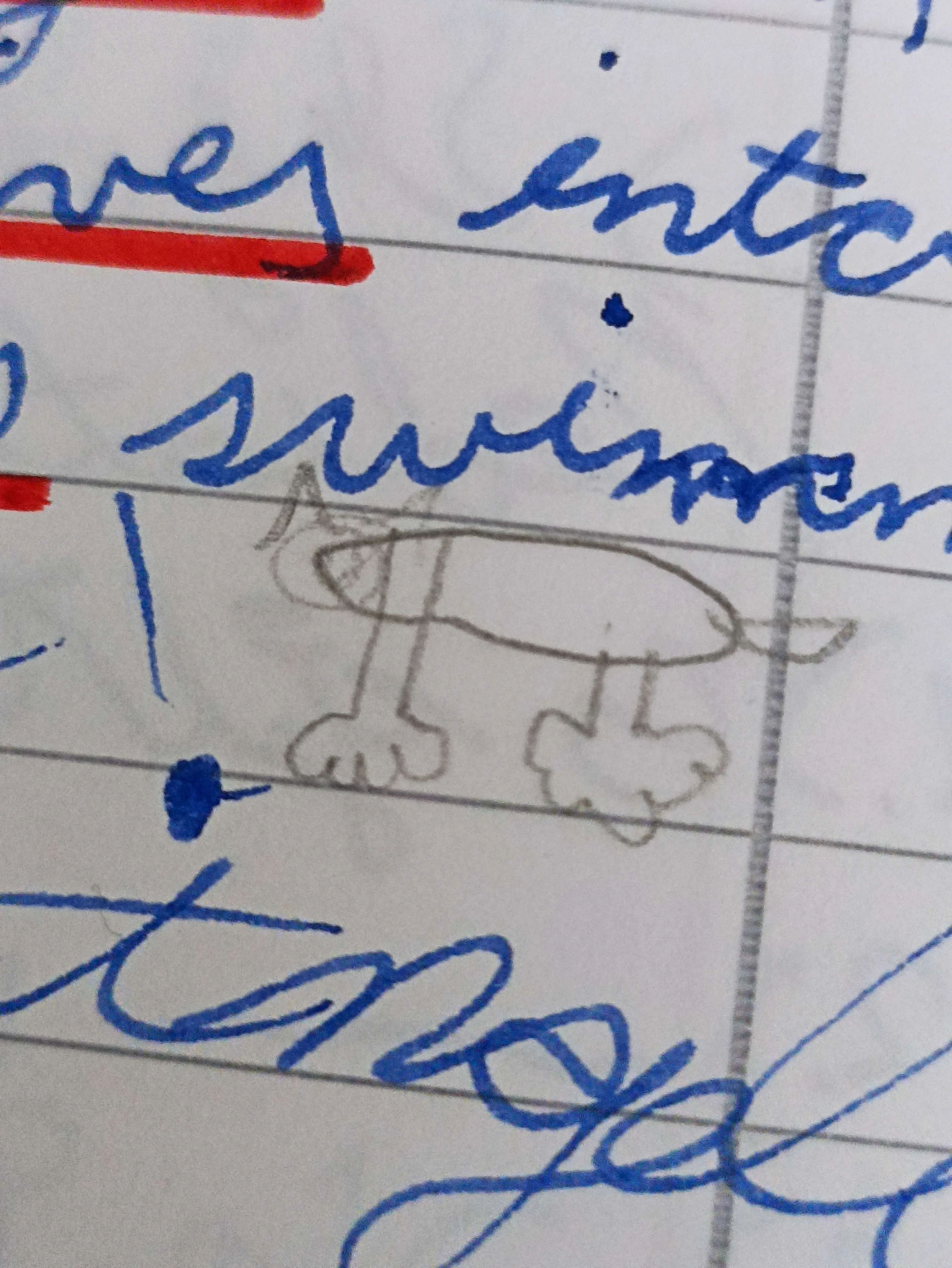 english class | Fandom