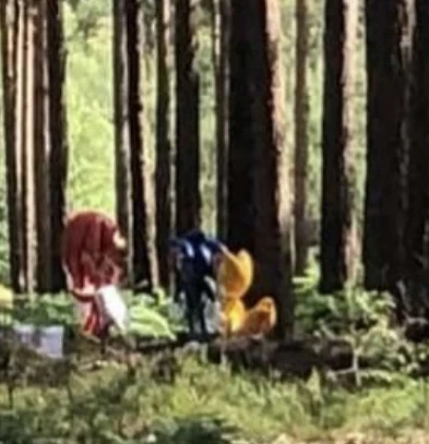 Sonic Movie 3 | Fandom