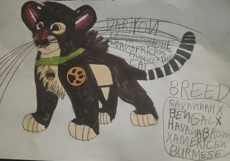 Discuss Everything About NatureRules1 Wiki | Fandom