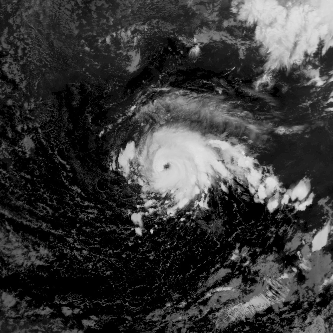 Obscure and unusual tropical cyclone of the week #4 - "Subtropical Storm" Omeka 2010 | Fandom
