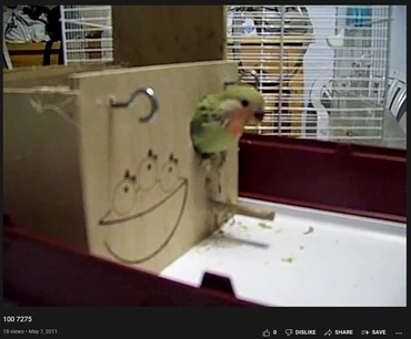 Discuss Everything About The Miner's Haven Wikia | Fandom