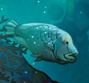 Nomination: Fish for Admin | Fandom
