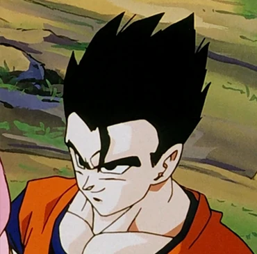 Best/Favorite Gohan hairstyle | Fandom