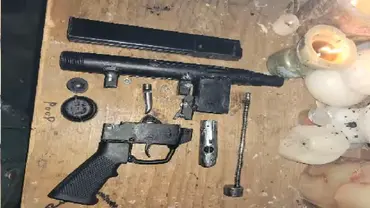 should i share the download link to the pm9 or no | Fandom