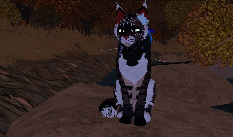 say hi to my morphs/OCs | Fandom