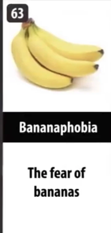 THERES SMTH IN MY WALLS | Fandom