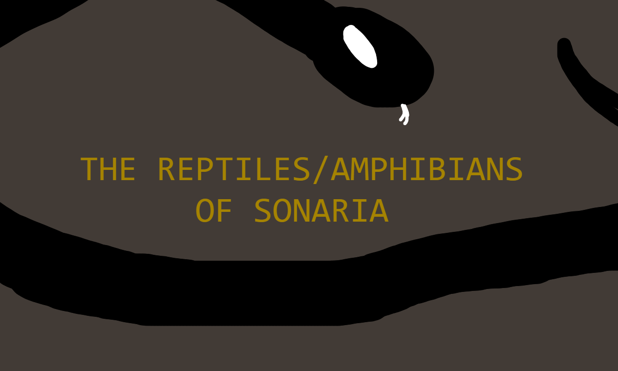 Alright 1st one or the 2nd one? (For a series I'm making.) | Fandom