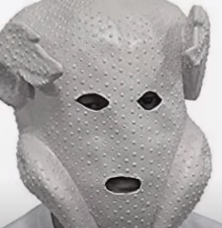 The things I have seen in teh TDX discord | Fandom