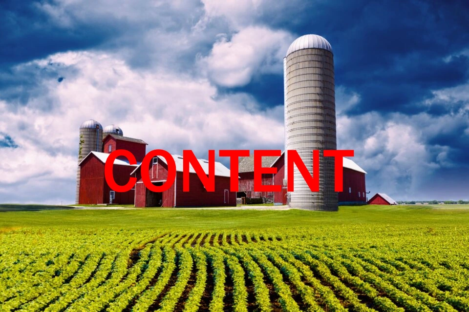 Here's what a content farm REALLY looks like! | Fandom