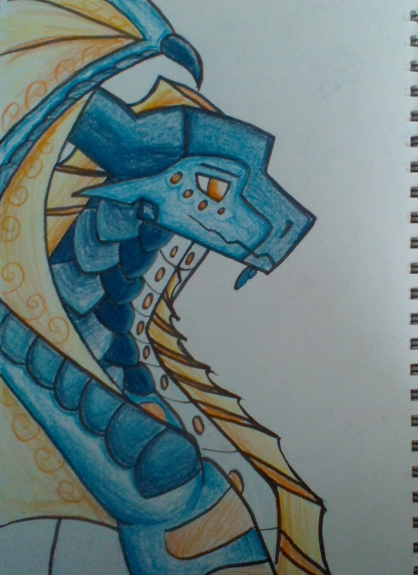 SeaWing Art | Fandom