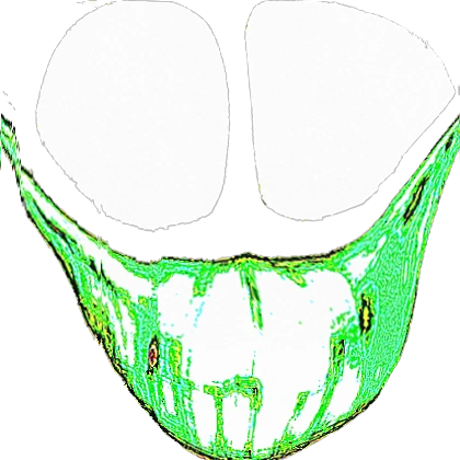 xx-peak entity | Fandom