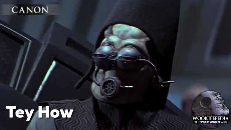 ️ [Wookieepedia YouTube] Who was Tey How? | Fandom