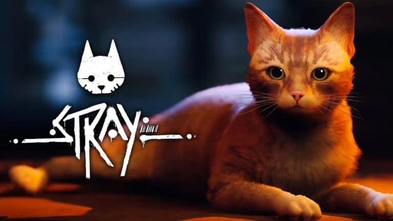 Have you ever played Stray? | Fandom