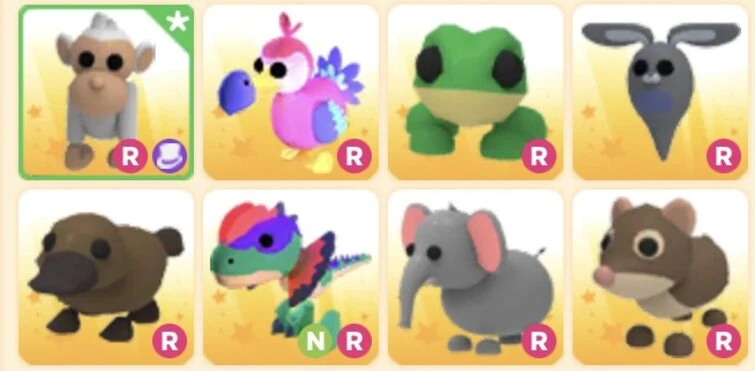 which offer is a good one for my NFR Turtle? | Fandom