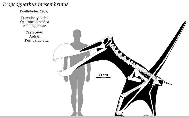 How prehistoric creatures kill you? #2 Pteranodon | Fandom