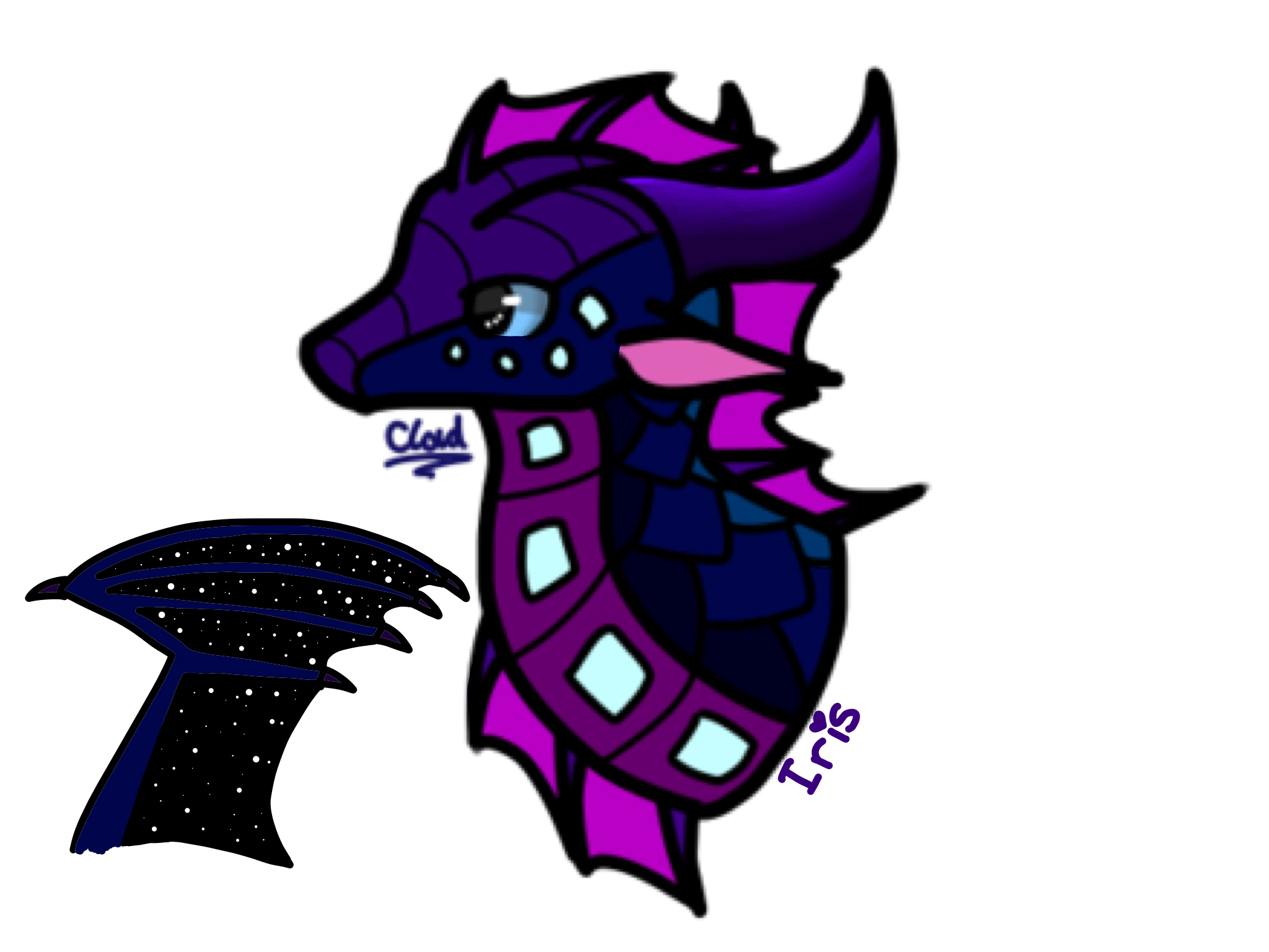 Cold Breezes Official Iris Design (WOF Fanfic) | Fandom