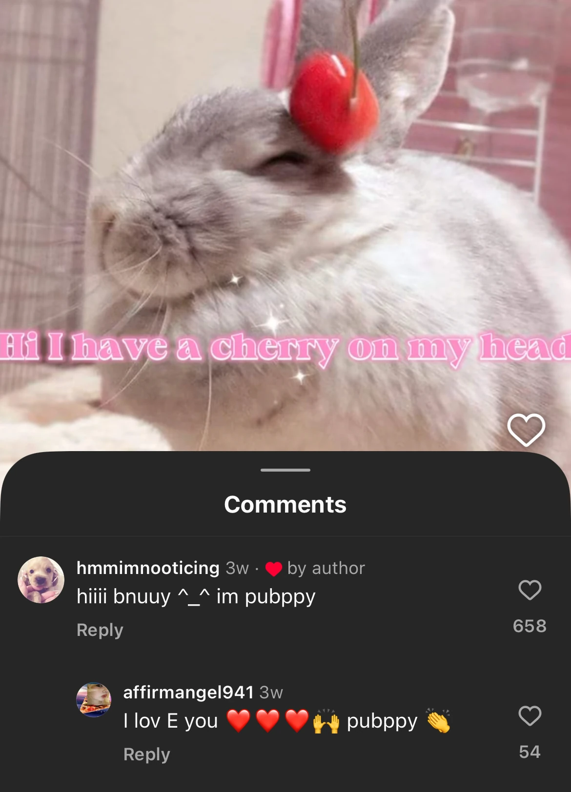 nvm im.not pissed off anymore check this out | Fandom